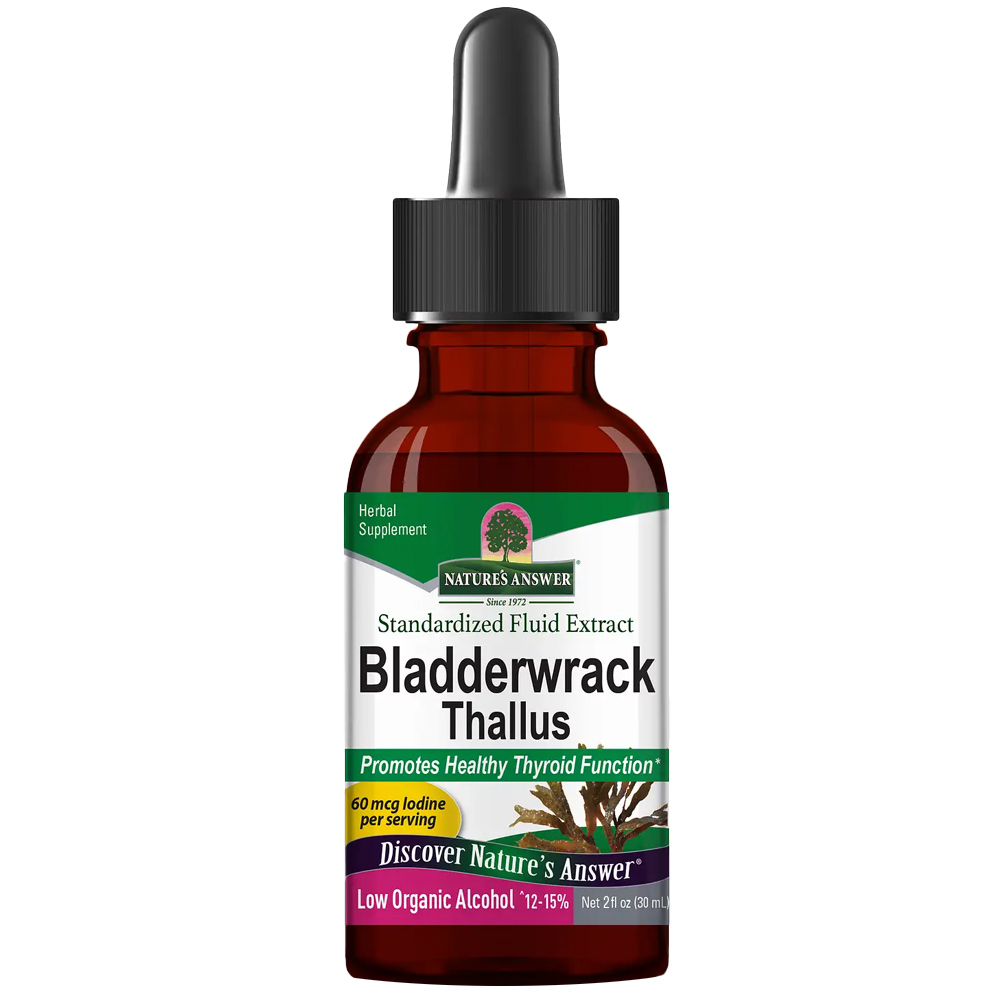 Bladderwrack Thallus – Nutrient-Rich Seaweed Extract