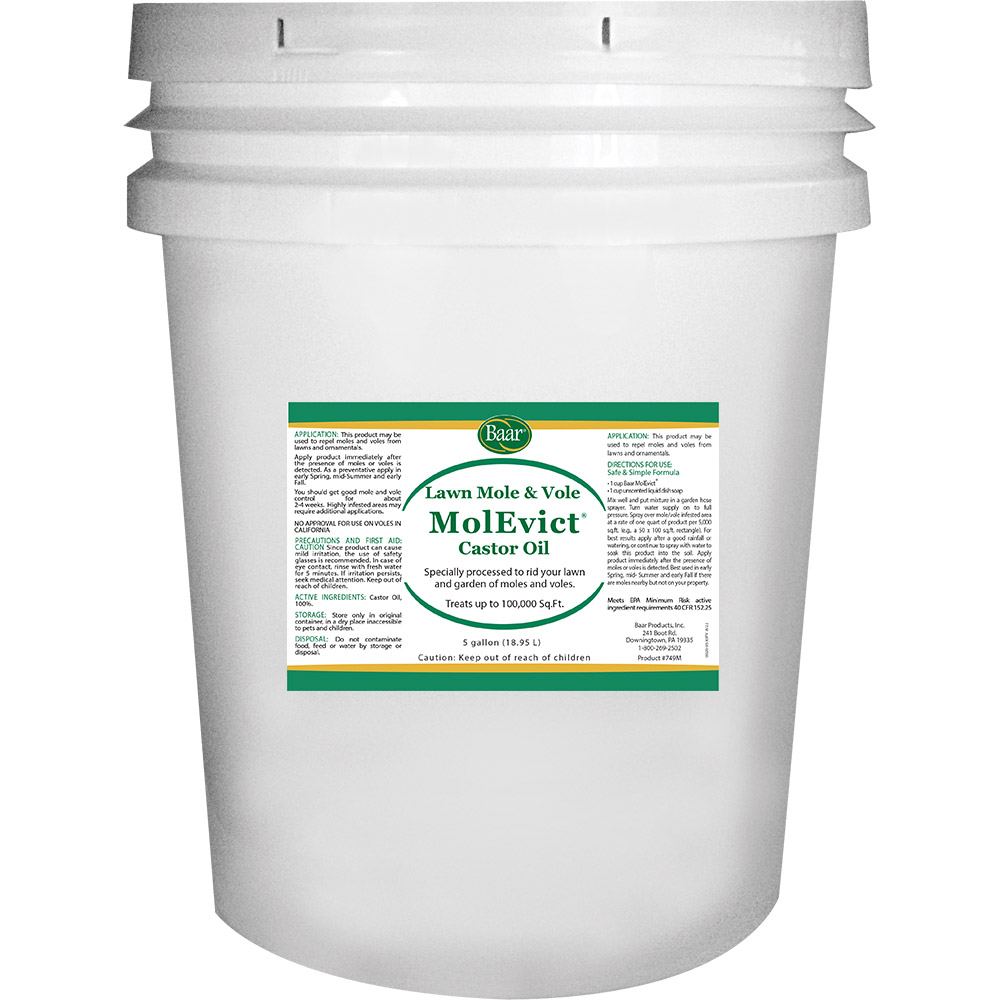 MolEvict, Lawn Mole Castor Oil, 5 Gallon Pail